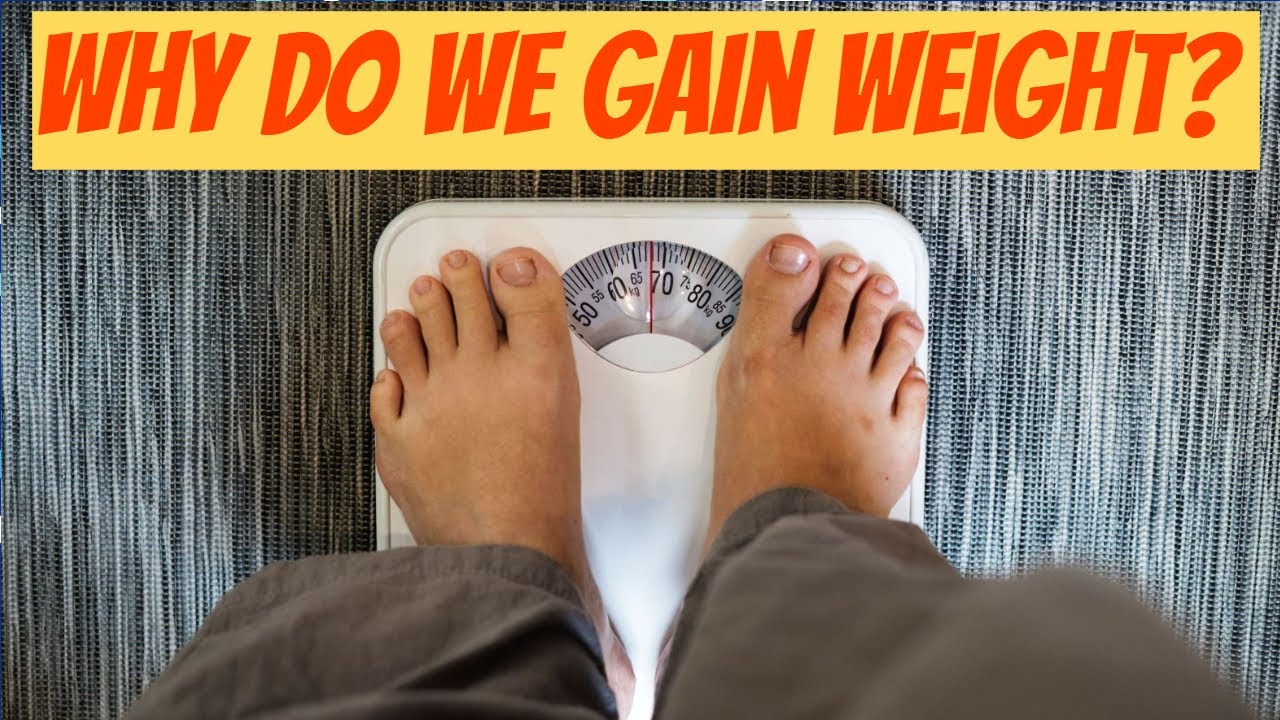 Why do we gain weight? Learn the factors affecting fat loss, weight ...
