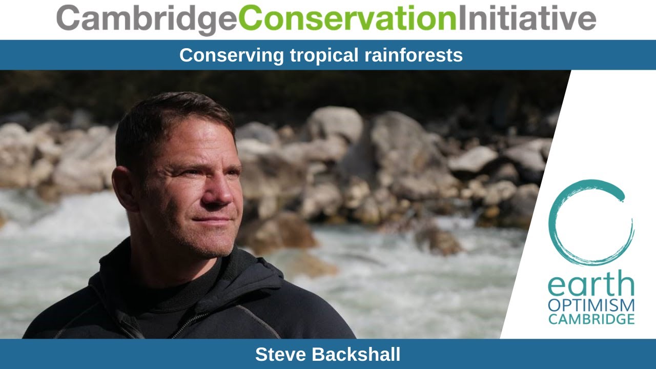 Conserving tropical rainforests - Steve Backshall - YouTube
