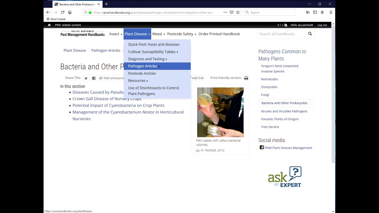 How to find general articles in the handbook - YouTube