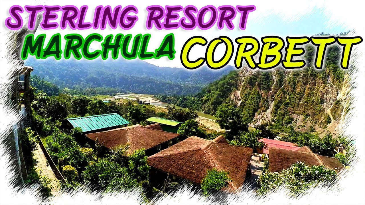 Sterling Marchula Resort | Corbett Glimpses - YouTube
