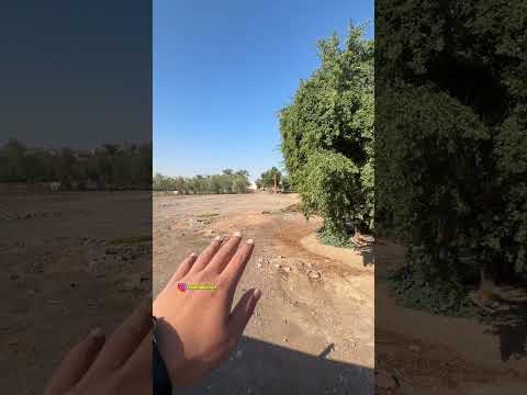 BEGINI KONDISI TERBARU SUMUR WAKAF USMAN BIN AFFAN 1400 TAHUN LEBIH, YANG DI BELI DARI ORANG YAHUDI