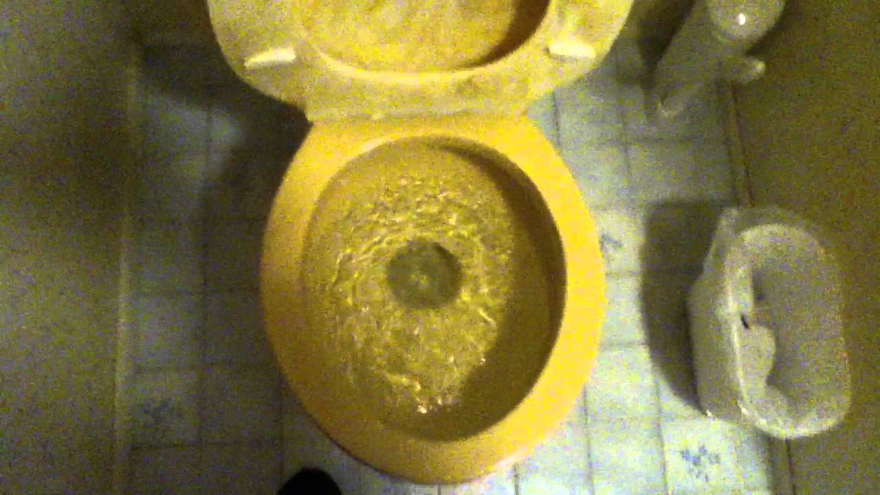 [186] Rare! - 1978 Peerless Toilet - YouTube