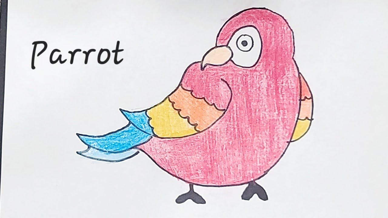 How to Draw Parrot Step by Step for Beginners | Bird Drawing and Colour ...