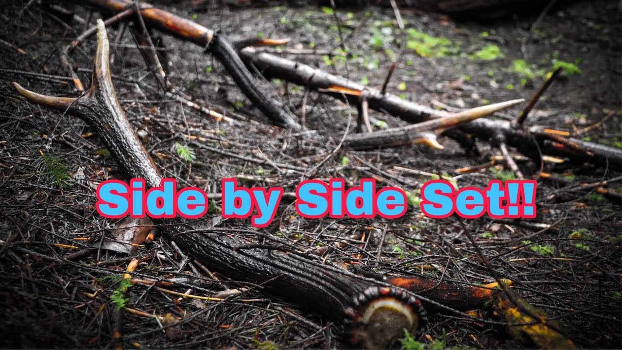 Side by Side SET! 2020 Shed Hunting WA STATE - YouTube