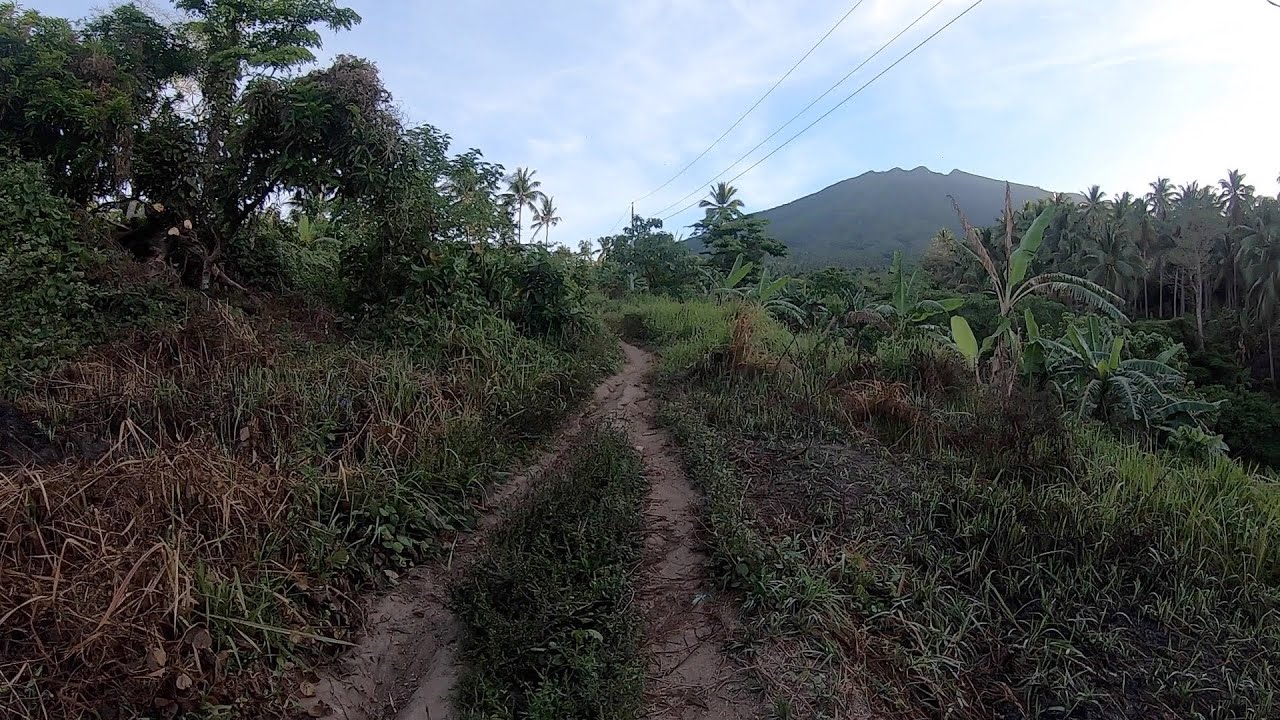 Climbing Mount Asog: A Difficult Trek through the Philippine Jungle ...