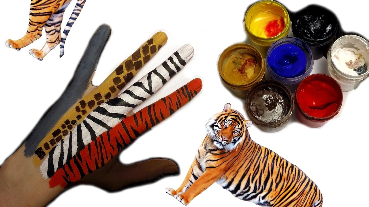 MAGIC Fingers In ZOO! Animals Finger! [Body Painting & Coloring Book ...