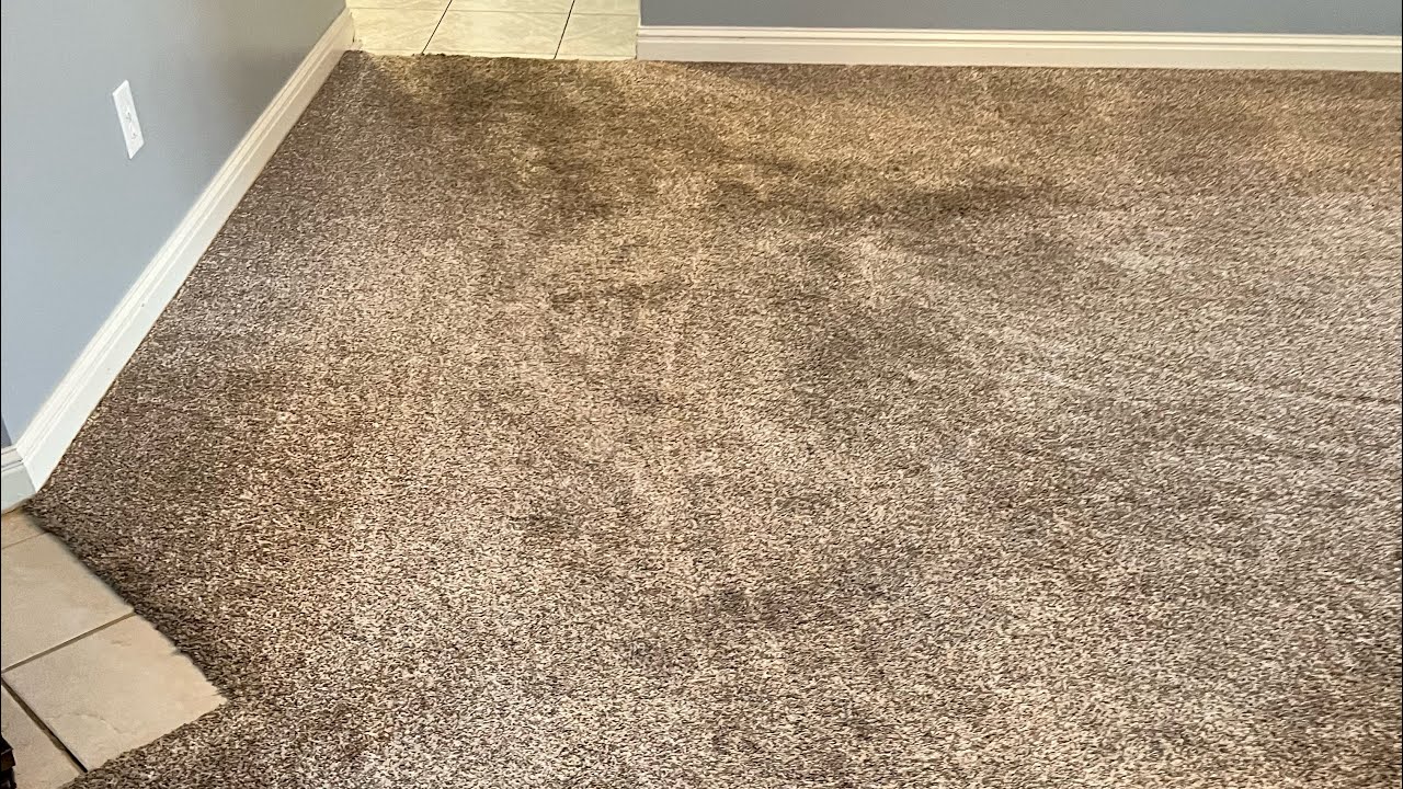 Heavily soiled and high trafficked carpet - YouTube