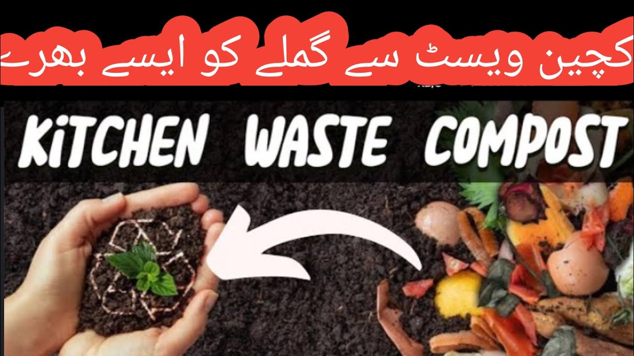 Kitchen Waste Compost ||√ How To make kitchen Waste Compost at home ...