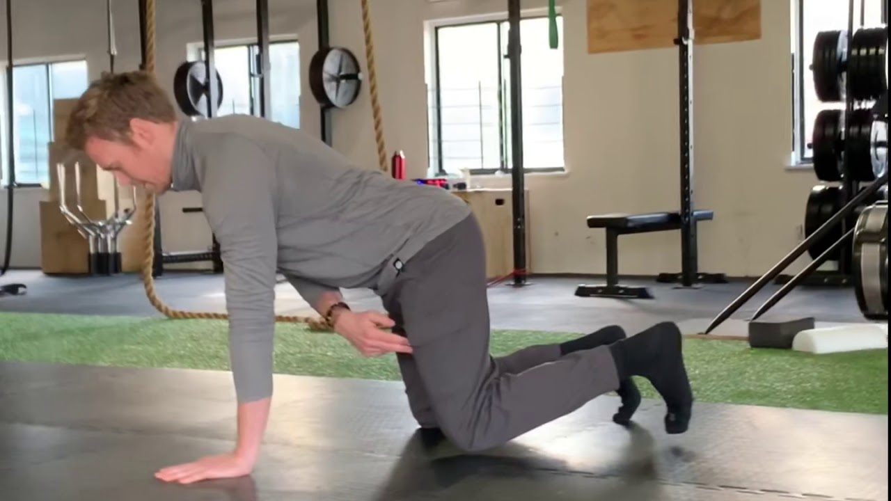 Contralateral coordination series, Quadruped - YouTube