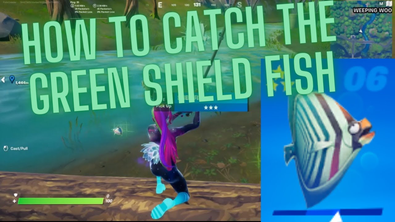 HOW TO CATCH THE GREEN SHIELD FISH IN FORTNITE CHAPER 2 SEASON 5/ part ...