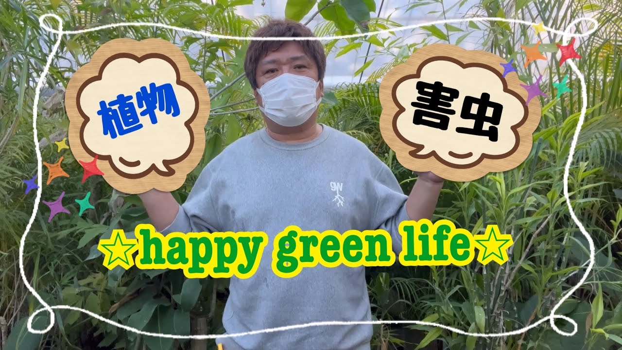 植物を育てる+害虫と共存=happy green life🌱♪ - YouTube
