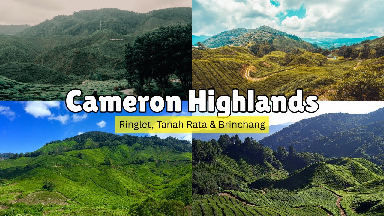 3 Main Towns in Cameron Highlands That You Should Know Before Planning ...