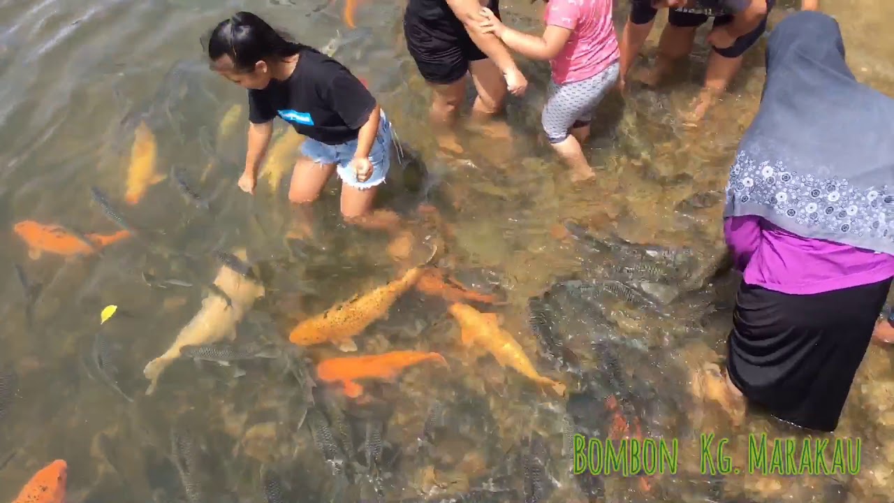 Fish Spa - Bombon Kampung Marakau, Ranau, Sabah - YouTube