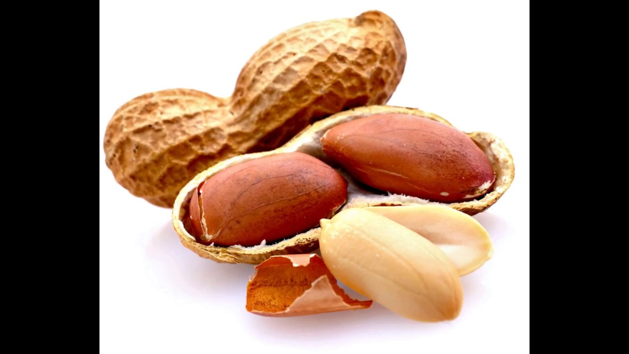 Proceso del Cultivo del maní en la Unidad Académica de Ciencias ...