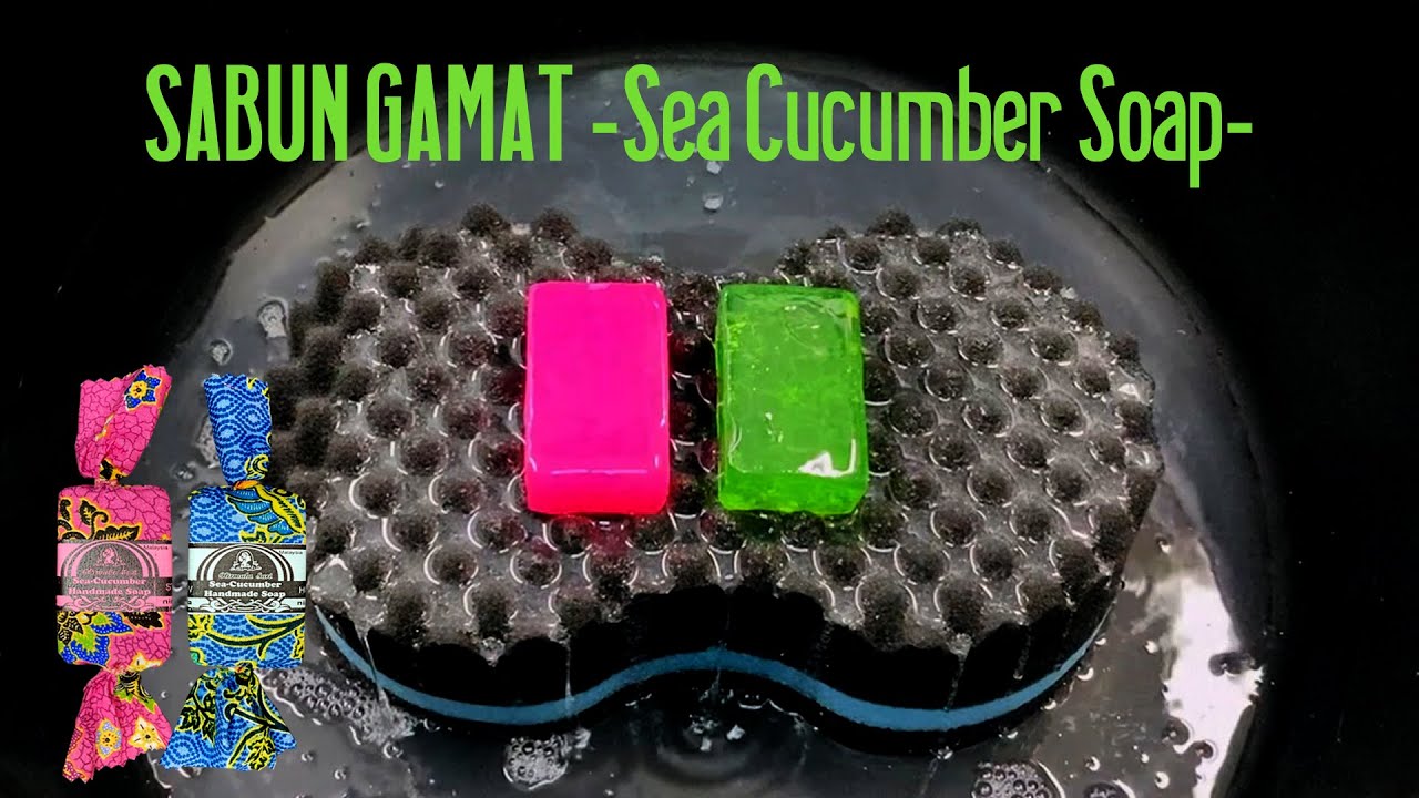 ASMR Sponge 376.SABUN GAMAT -Sea Cucumber Soap- ♦Bar Soap♦ - YouTube