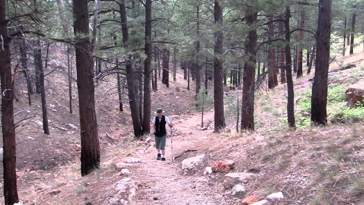 Trish Hiking Cliff Spring Trail - YouTube