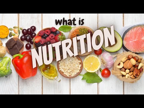 What is Nutrition | What are nutrients | Definition of Nutrition - YouTube