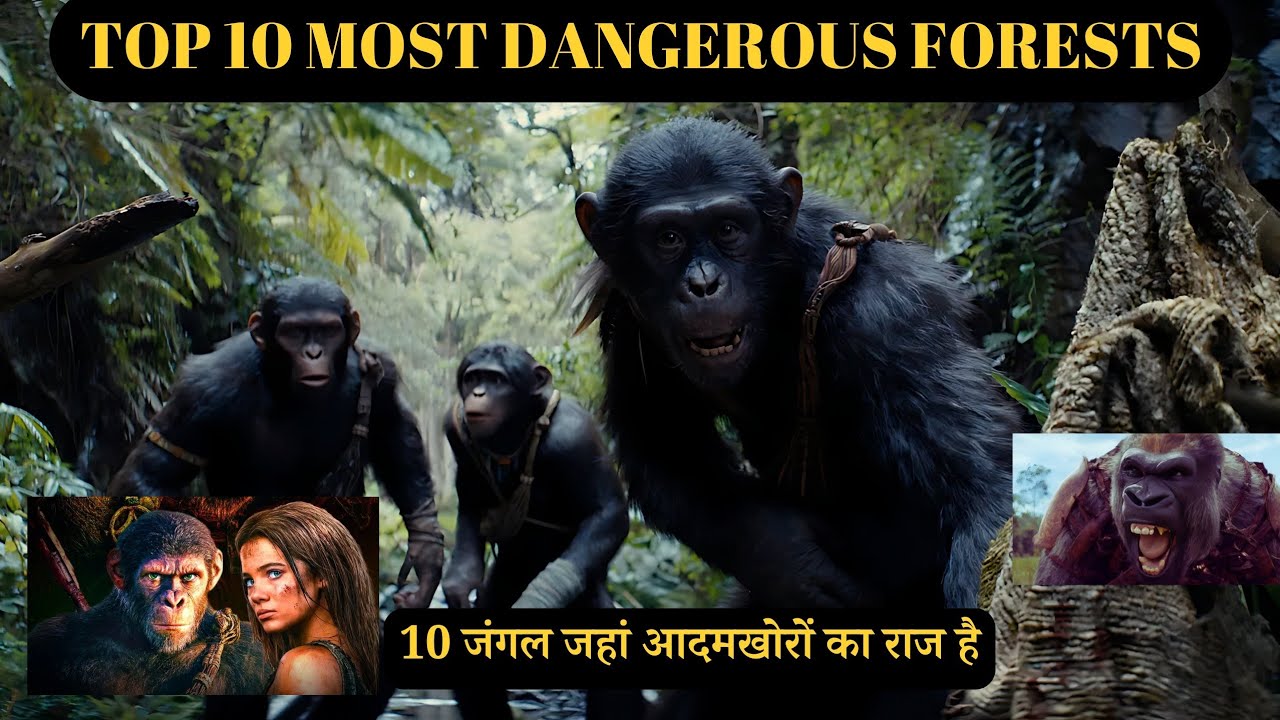 दुनिया के 10 सबसे खतरनाक जंगल | Top 10 dangerous Forests in The World ...