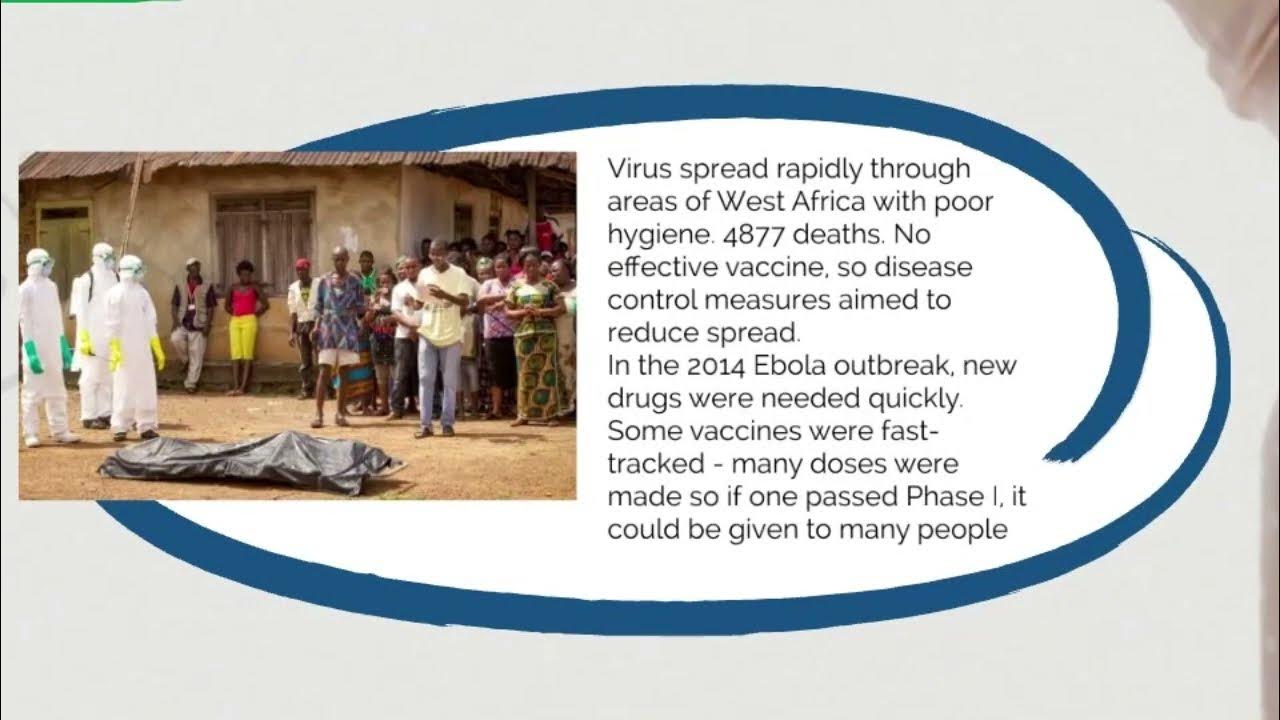 A Level Biology Cells Lesson: Viruses for Edexcel only - YouTube