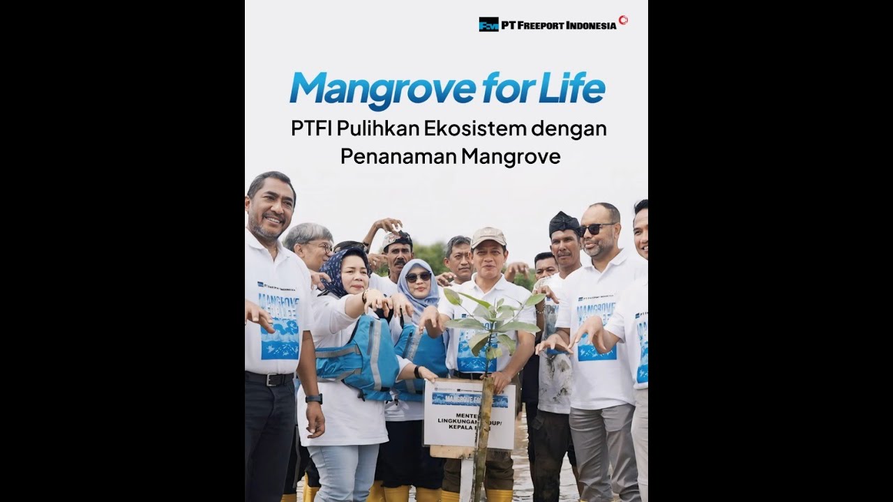 PT Freeport Indonesia Pulihkan Ekosistem dengan Penanaman Mangrove melalui Program Mangrove for ...