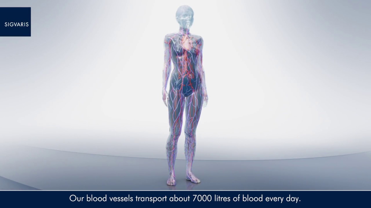 Medical Animation Movie on Venous Disorders - YouTube