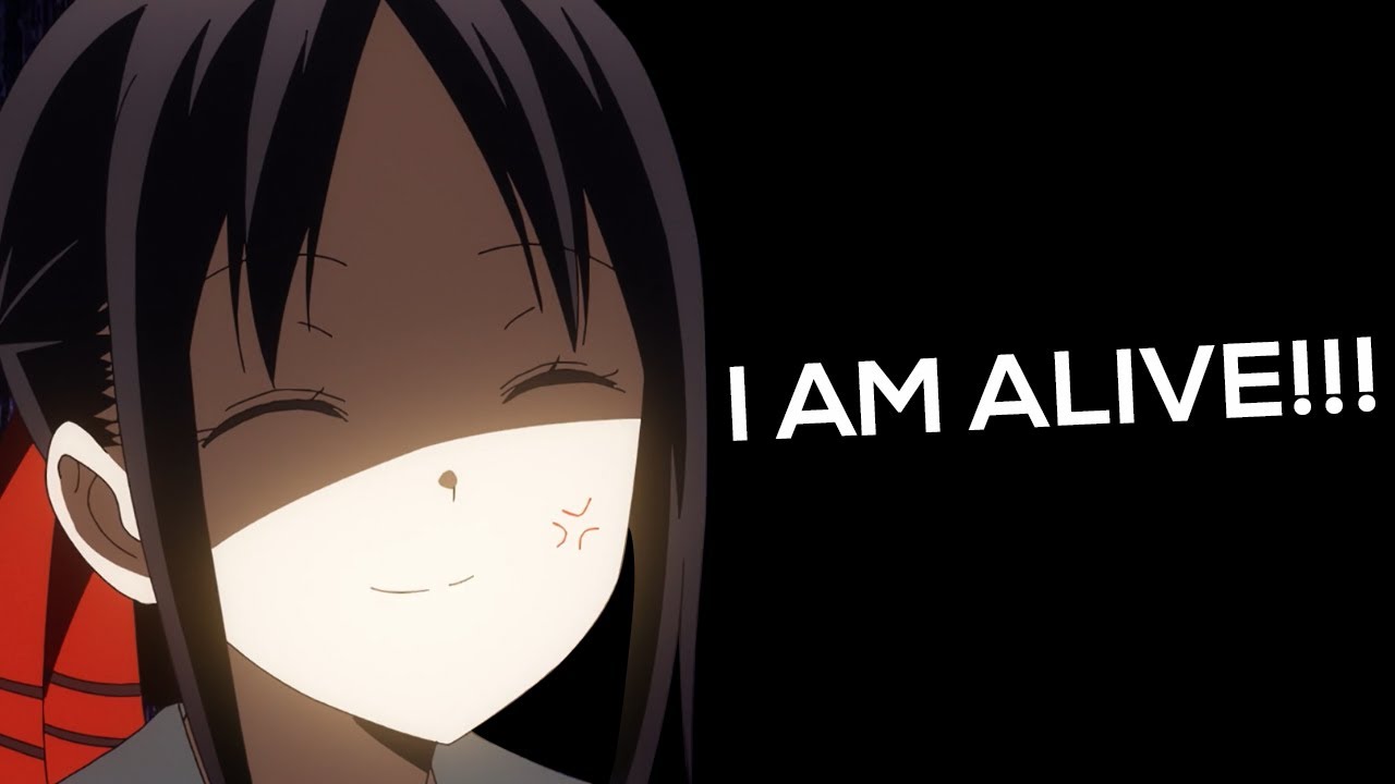 Back from Hiatus!! - YouTube