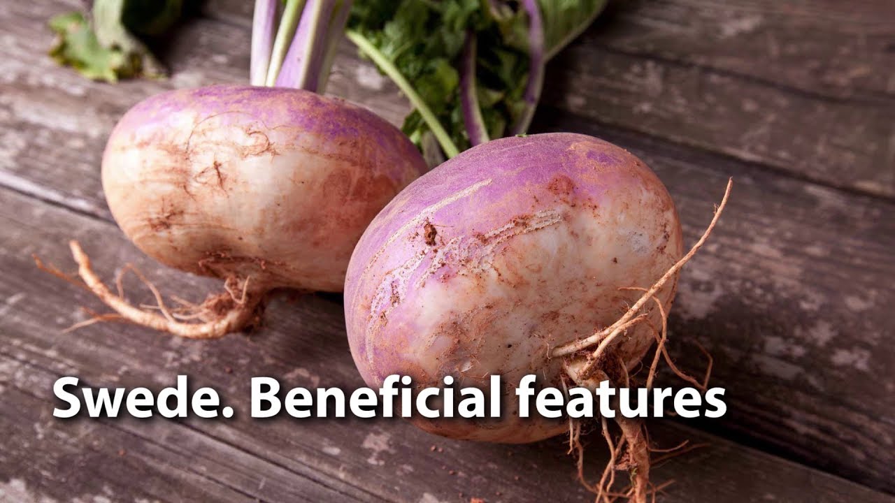 Swede. Beneficial features - YouTube