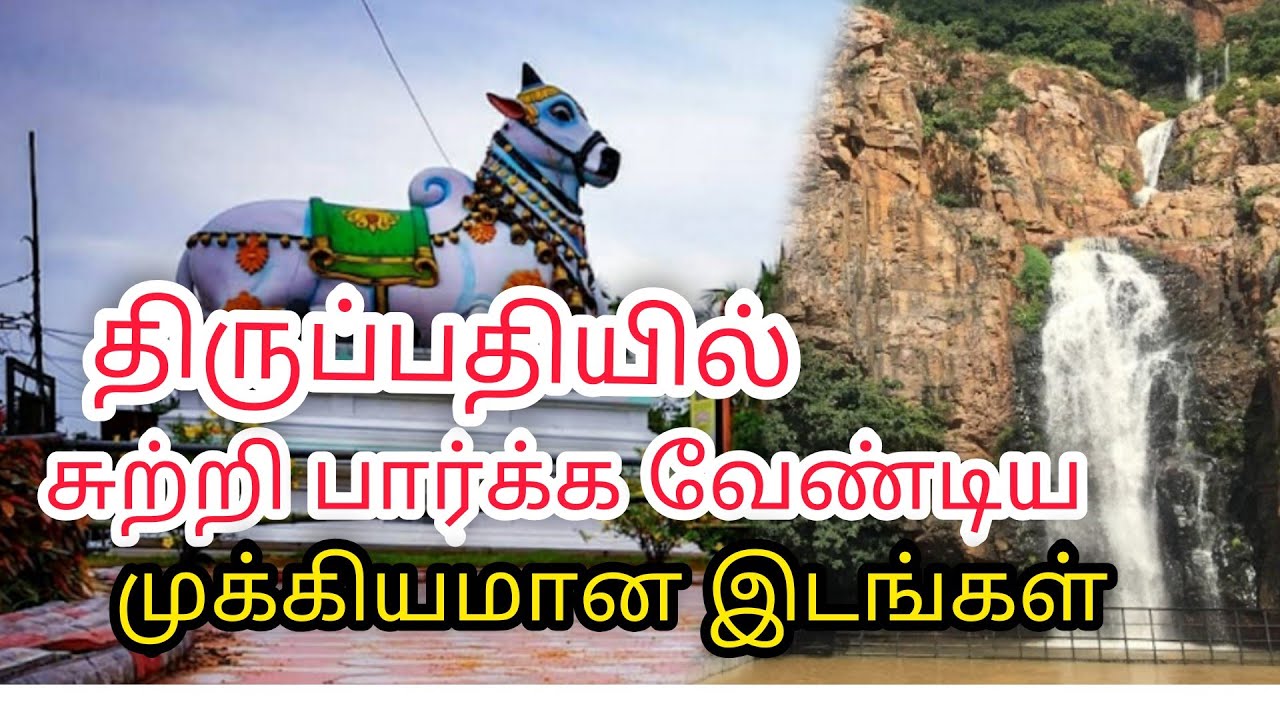 திருப்பதி சுற்றி பார்க்க வேண்டிய இடங்கள் | tirupati tourist place ...