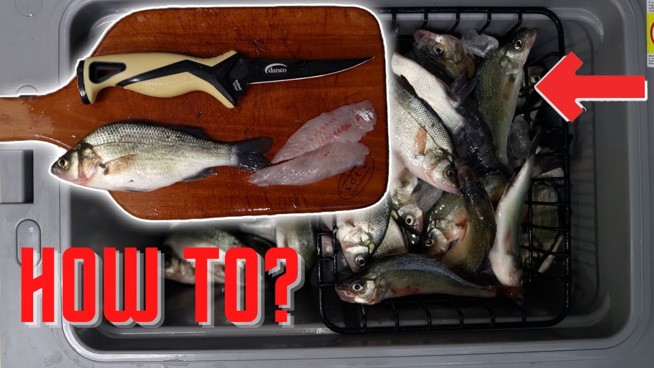 How To Fillet White Perch - YouTube
