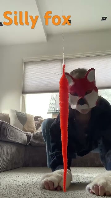 Silly fox - YouTube