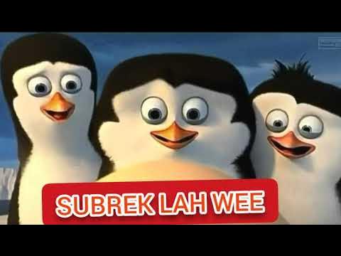 MEME PINGUIN BANDAR BOKEP - YouTube