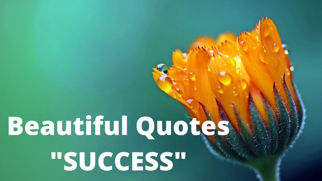 Beautiful Quotes "SUCCESS" - YouTube