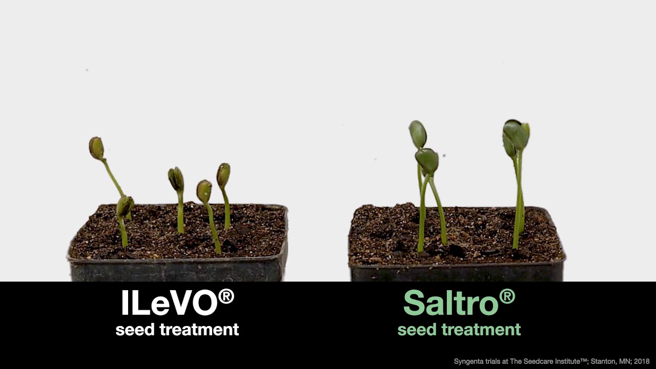 Superior SDS Protection without the Stress - YouTube