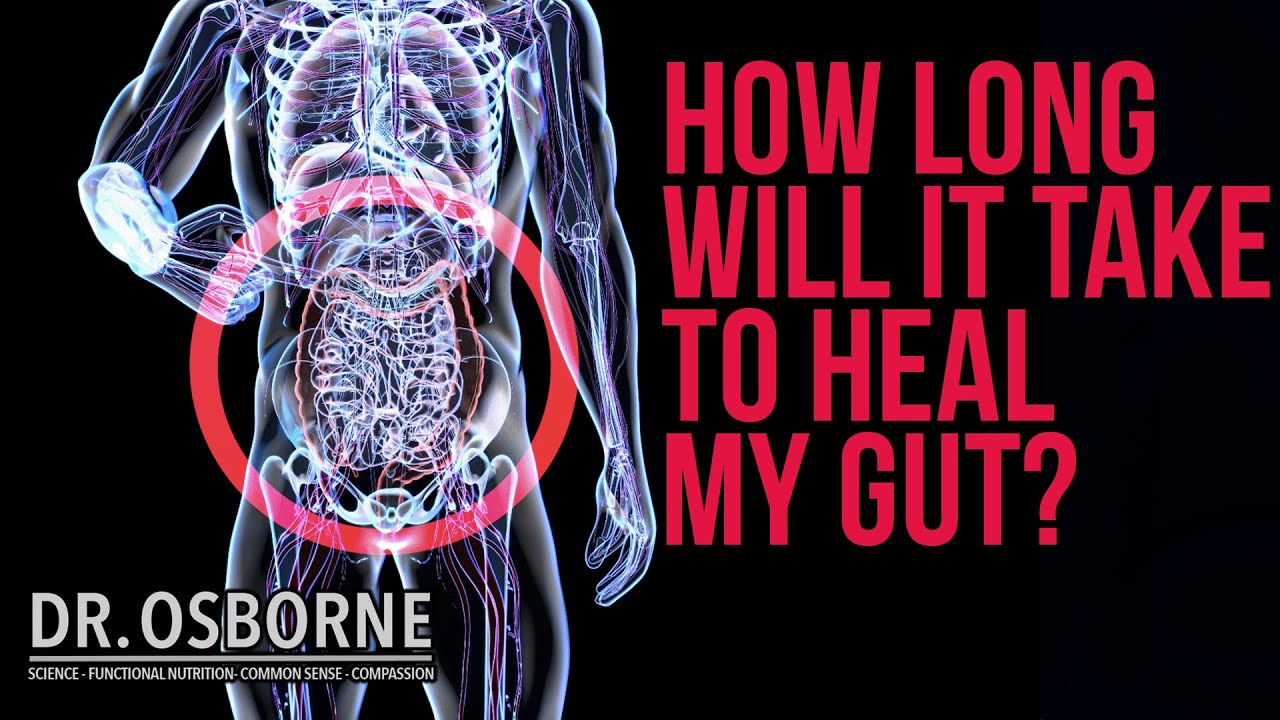 How long will it take to heal my gut after years of damage? - YouTube