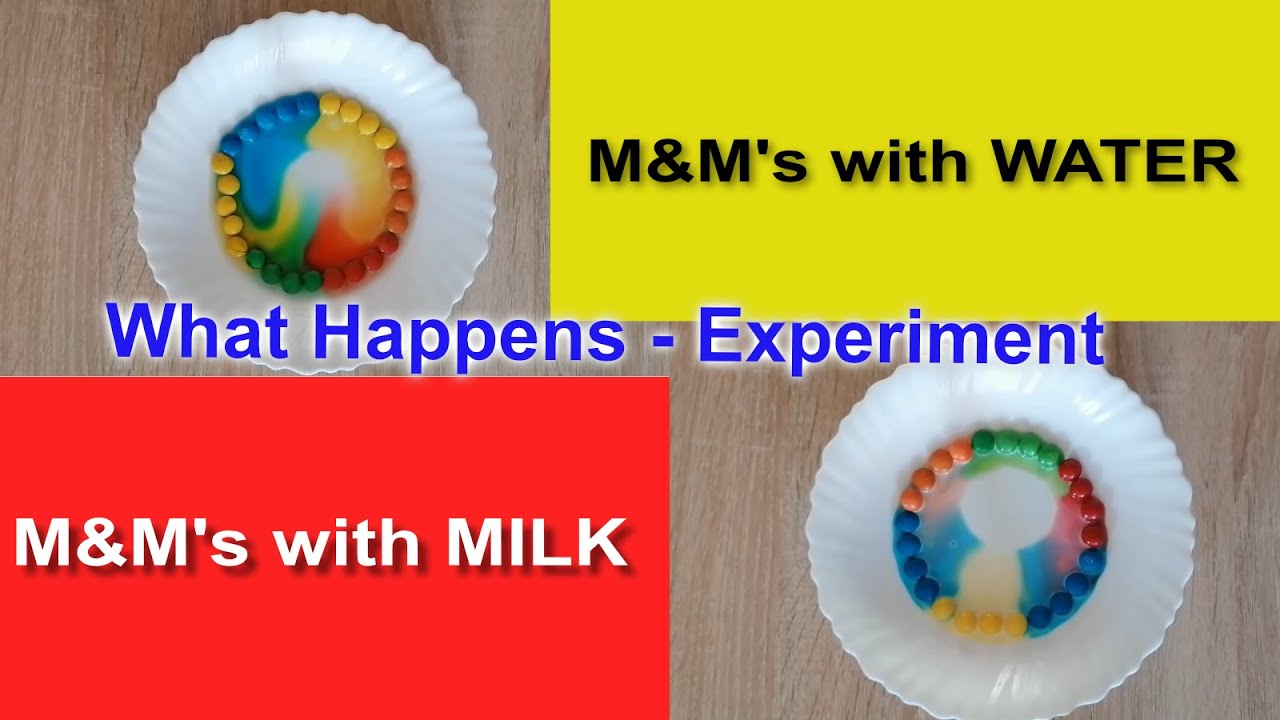 M&M's with Water or Milk reaction experiment with explanation - YouTube