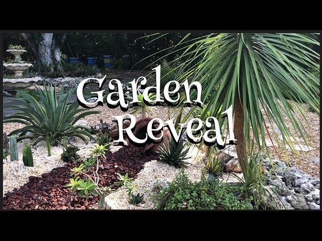 Succulent Plant That Grows Outside In Florida