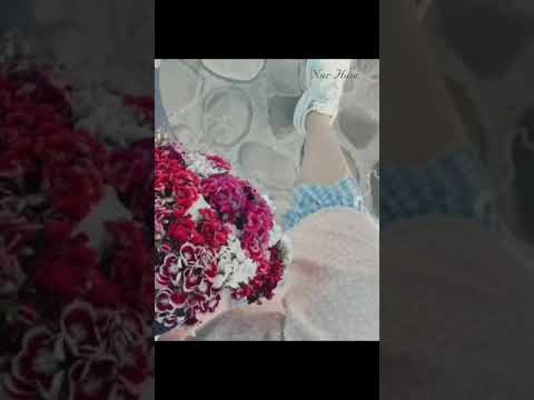 |• Bilirsənmi qadın kimdir?