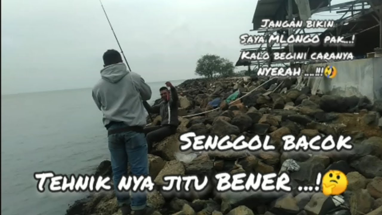 SENGGOL BACOK...!bikin mlongo saya pak...!mancing pinggiran kali menir ...