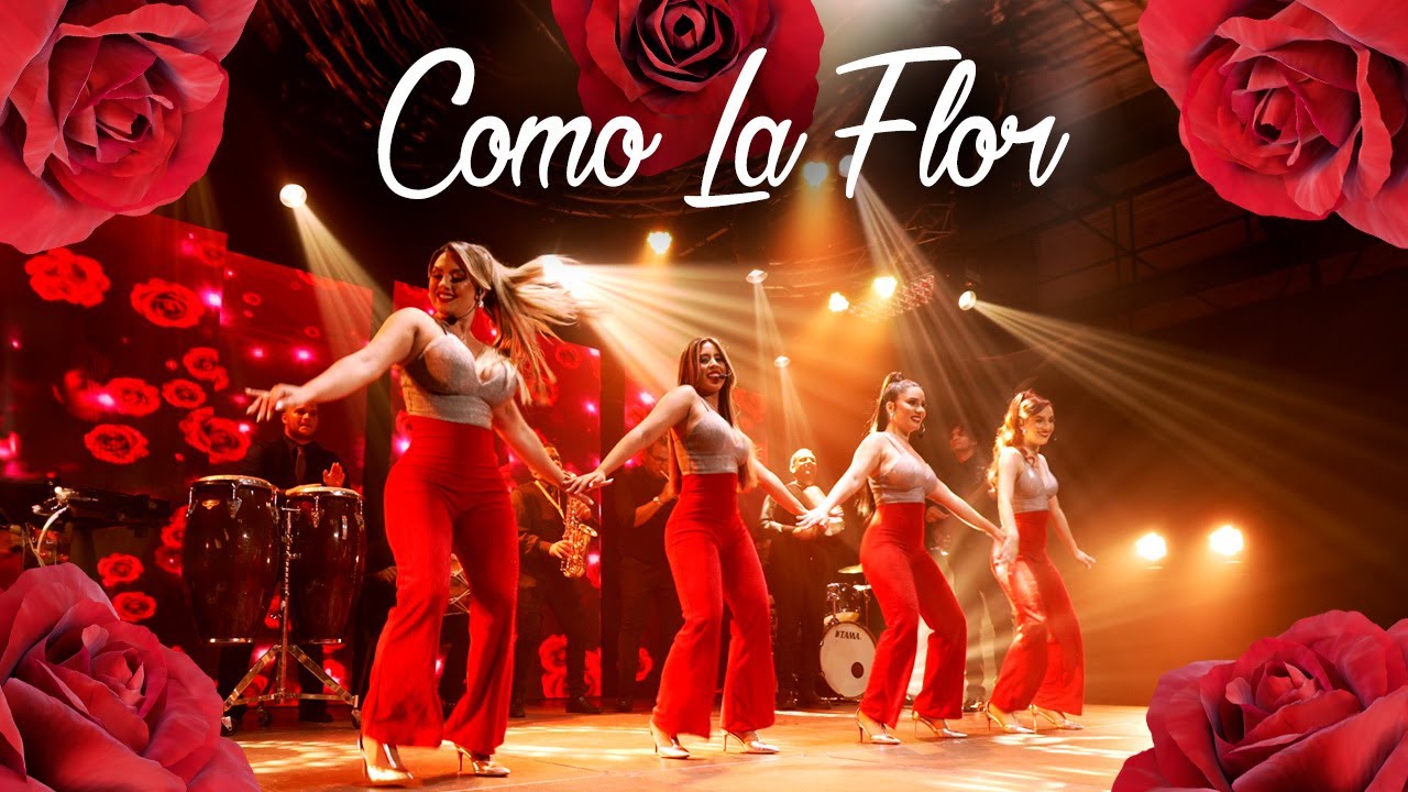 Las Chicas del Can - Como La Flor Chords - Chordify