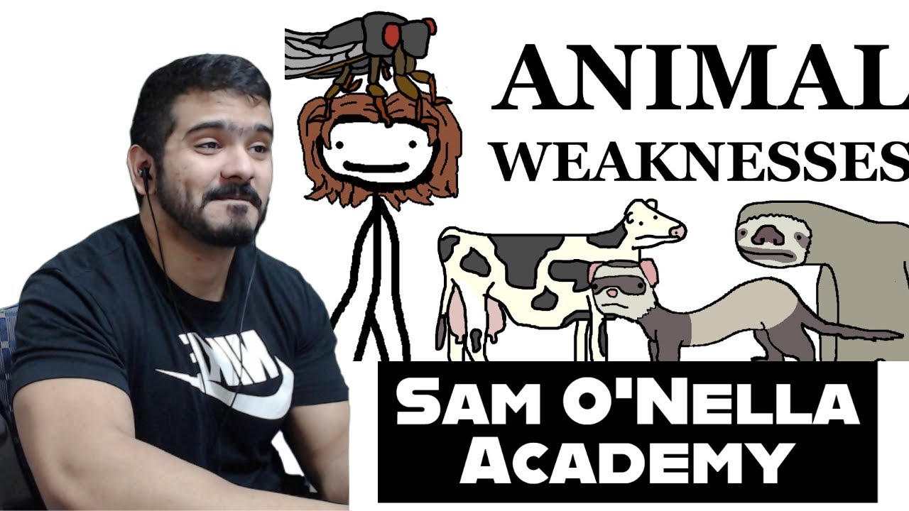 Animal Weaknesses (Sam O'Nella Academy) reaction - YouTube