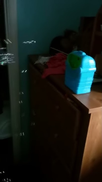 Catnip Bubbles - YouTube