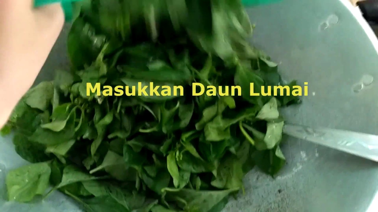 Tumis Daun Lumai/Leunca Enak dan Sederhana - YouTube