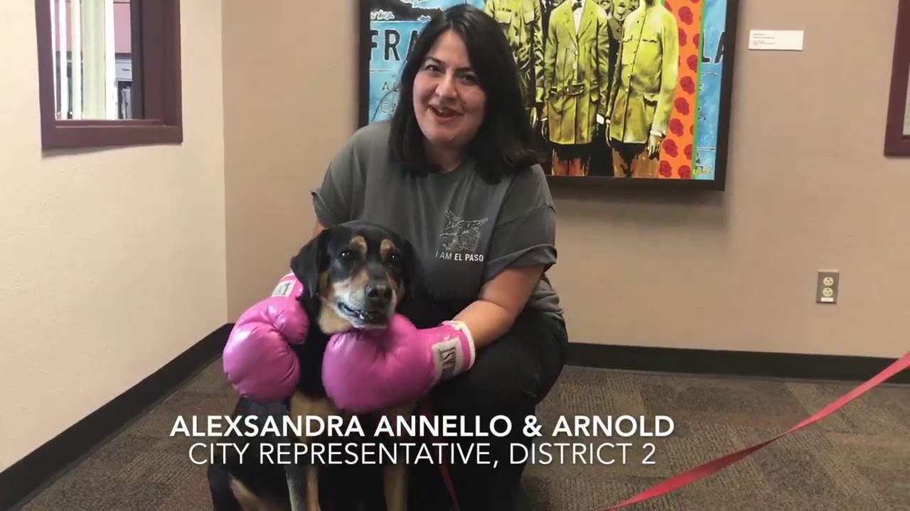 District 2 City Representative Alexsandra Annello fighting for the City ...