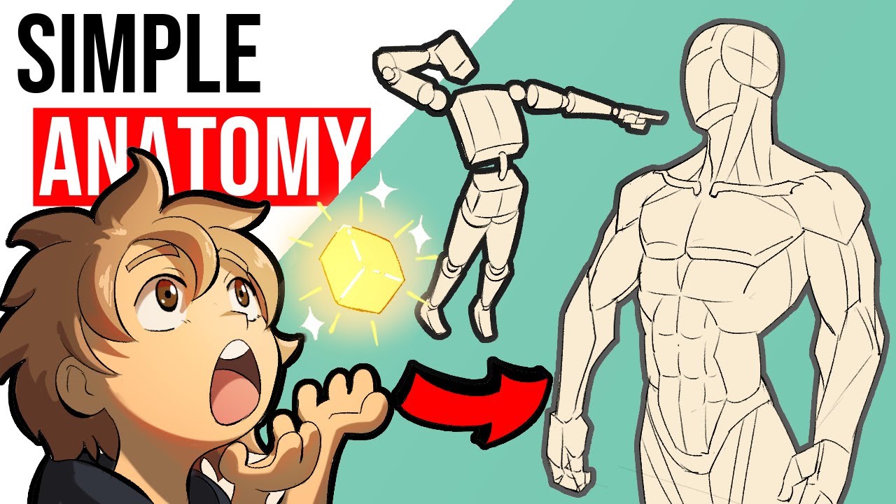 How to Draw the Human Body – What Made It Click for Me - YouTube
