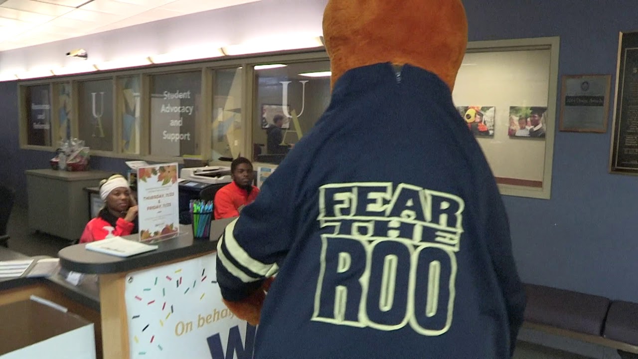 Zippy Gets SEFA Grant - YouTube