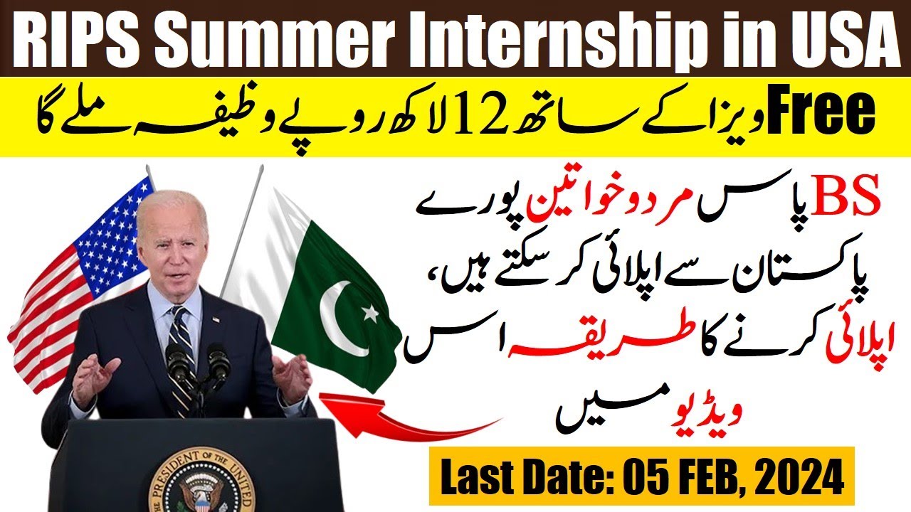 RIPS Summer Internship 2024 in USA | How To Apply For RIPS Summer ...