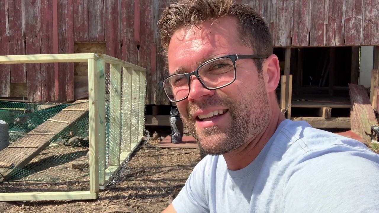 Building a Hawk Proof Chicken Run - YouTube
