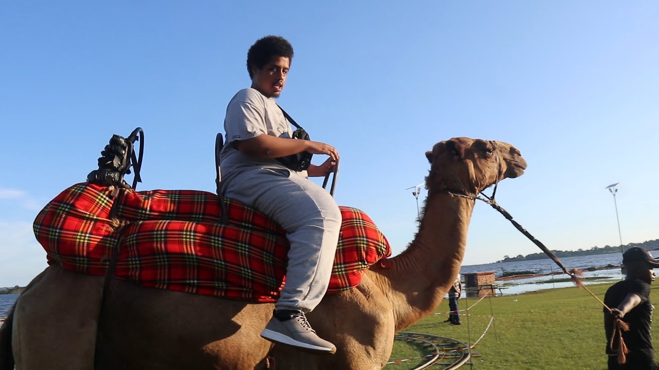 Riding a Camel, Yummy TIBS!!!!!!(Uganda Vlog) - YouTube