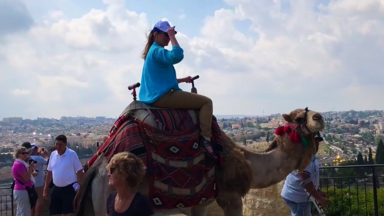 Camel Ride in Jerusalem - YouTube
