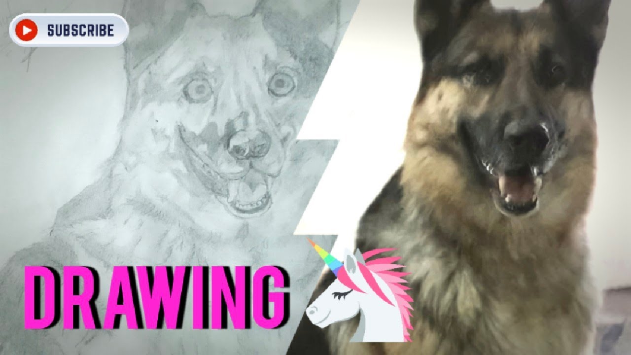 Drawing: Dear Antila - YouTube